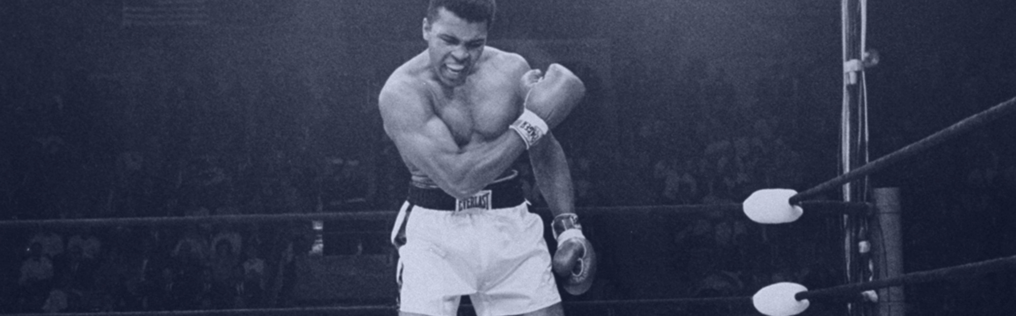 Our Team's Top 5 Training Tables | 1Huddle